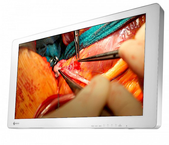 Projector.co.il - חברת המקרנים של ישראל | צג לחדרי ניתוח ''31.1 Eizo CuratOR EX3140 | חדרי ...